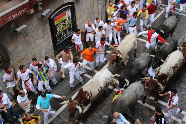 Facts about the Running of the Bulls - Frequently Asked Questions