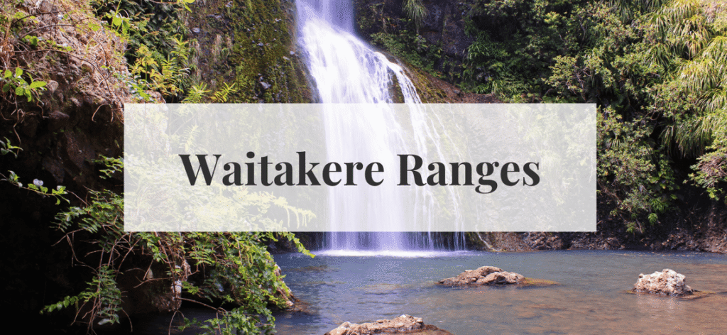 Best things to do in Auckland, New Zealand during the Women’s World Cup